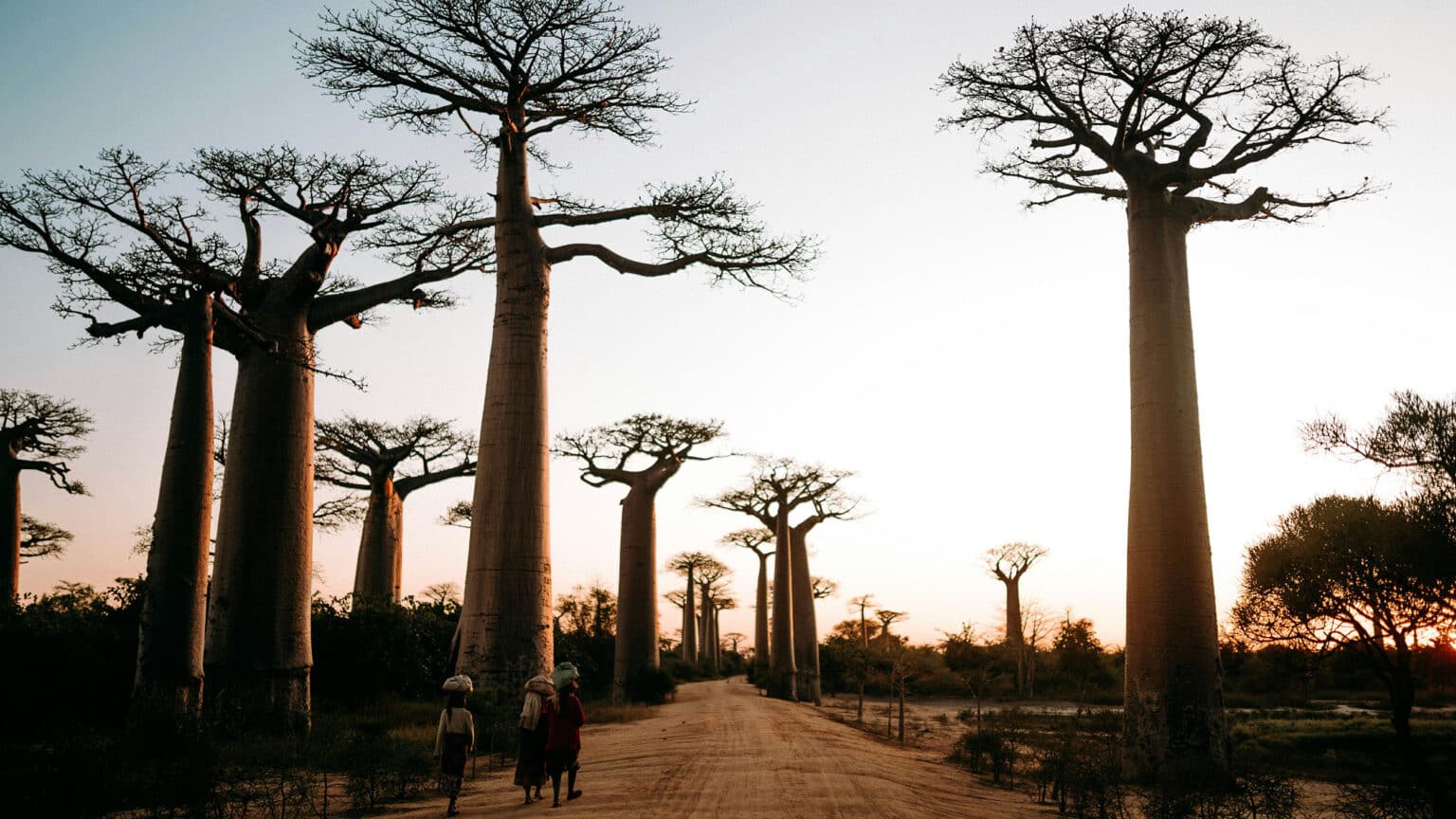 Madagascar Travel Guide: Top Experiences and Must-See Attractions