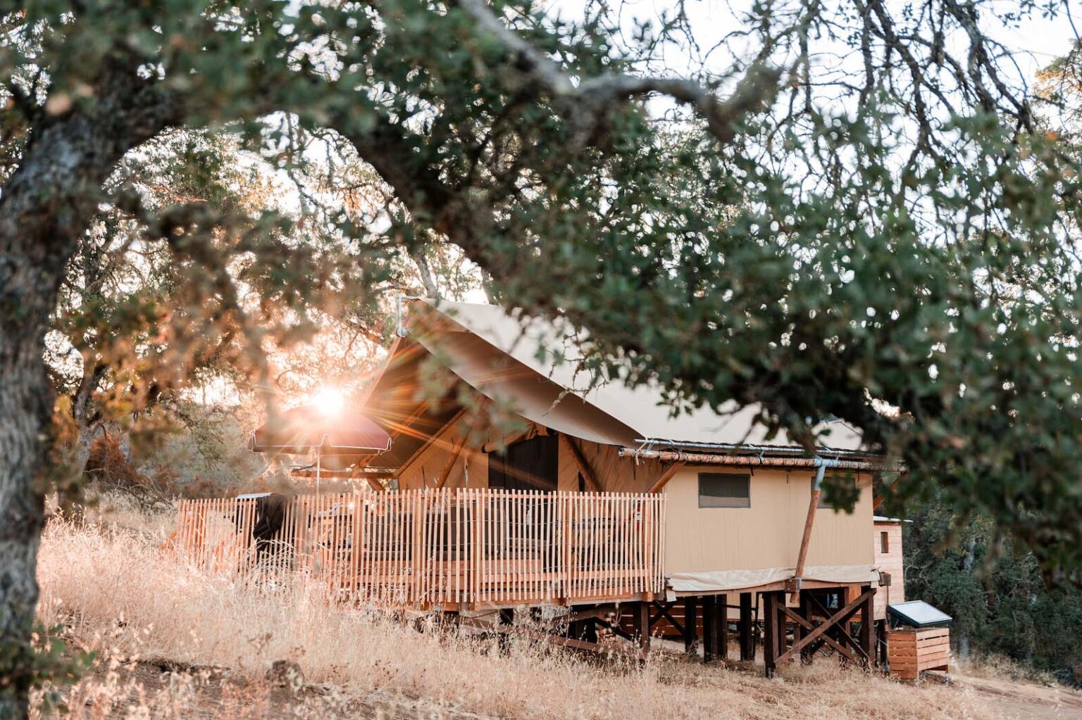 Eco-Friendly Glamping: Exploring Huttopia's Ready-to-Camp Adventures